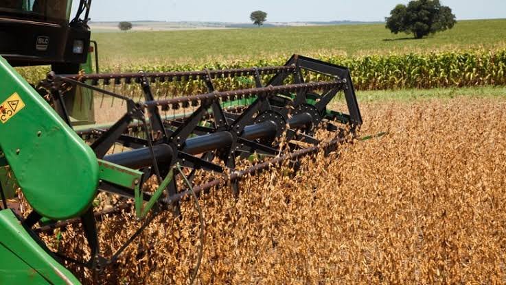Soja é o produto agrícola com maior representatividade em RO